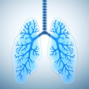 Chronische bronchitis - De bronchiën | Medipedia