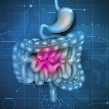 Constipation - Maladies et constipation | Medipedia