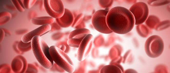 Hemofilie - Wat weet u van hemofilie? | Medipedia