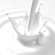 Lactose-intolerantie - Hoe verteren we melk? | Medipedia