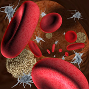 Leucémie lymphoïde chronique - Les différents types de globules blancs ...