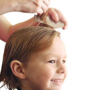 Luizen - Hoe kunt u luizen en neten opsporen? | Medipedia