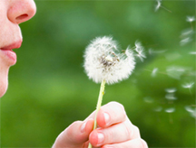 Rhinite allergique - Comprendre | Medipedia