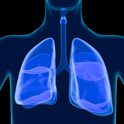 Tumeur neuro-endocrine - Les tumeurs neuro-endocrines pulmonaires ...